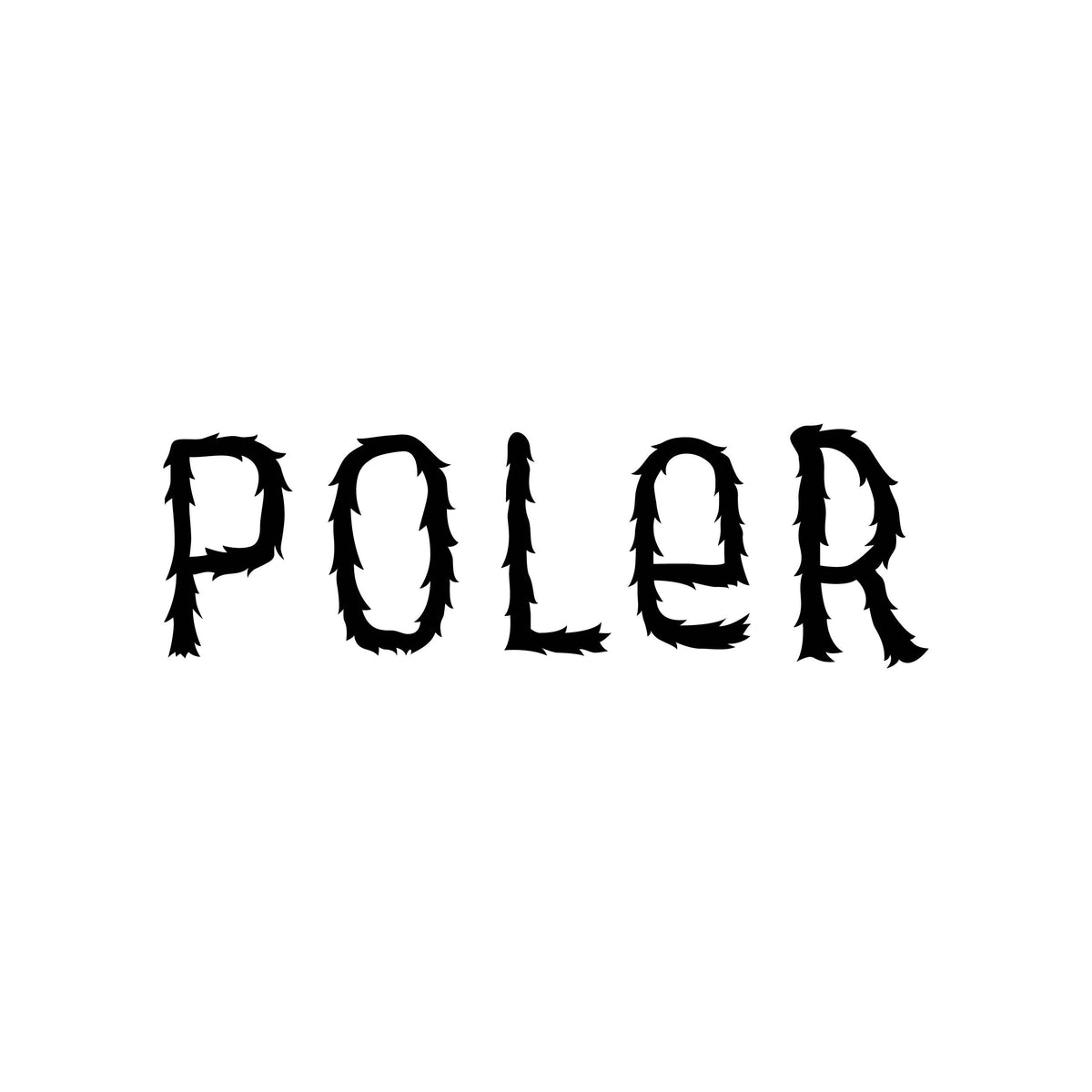 Poler Logo Polestar Capital